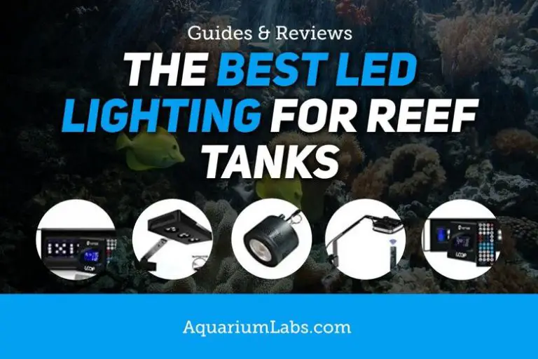 11 Best LED Lighting for Reef Tanks [2020 Reviews & Guide] | Aquarium Labs
