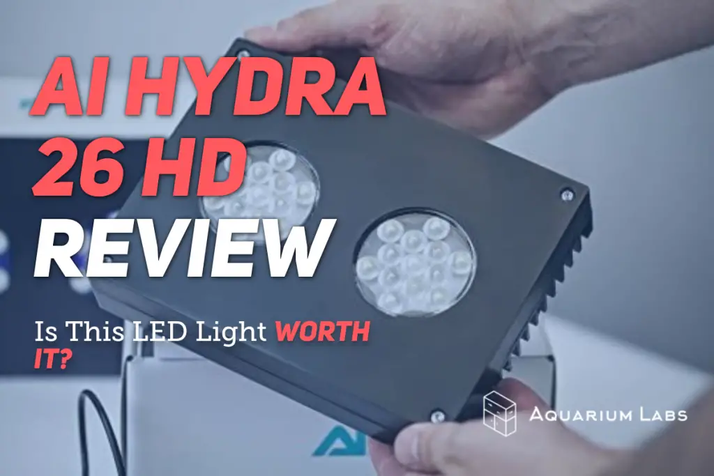 AI Hydra 26 HD Review [2023]: LED Light for Reef Tanks