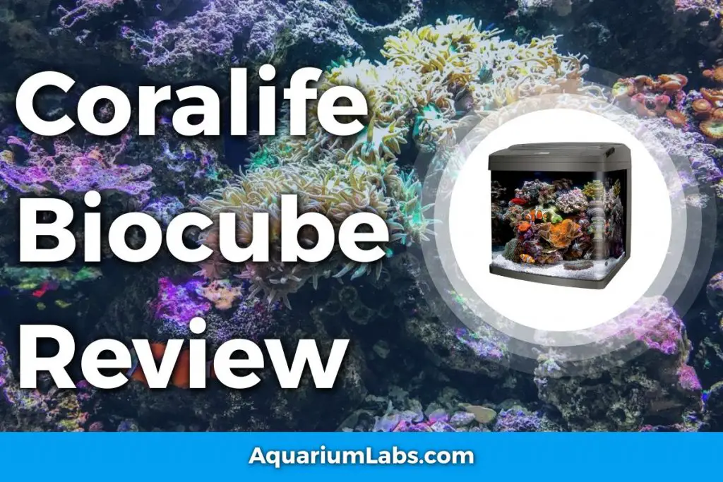 Coralife BioCube 32 Review | Aquarium Starter Kit Pros & Cons