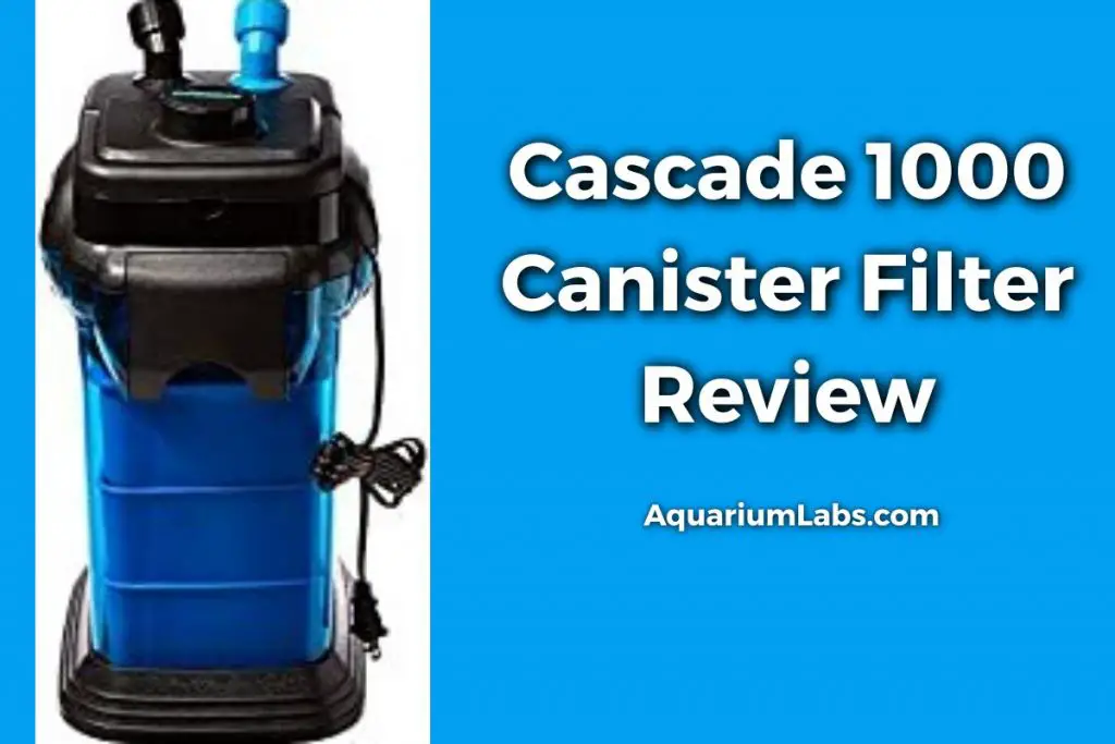 Cascade 1000 Canister Filter Review | Aquarium Labs