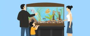 How to Set Up a Saltwater Aquarium Ultimate Guide