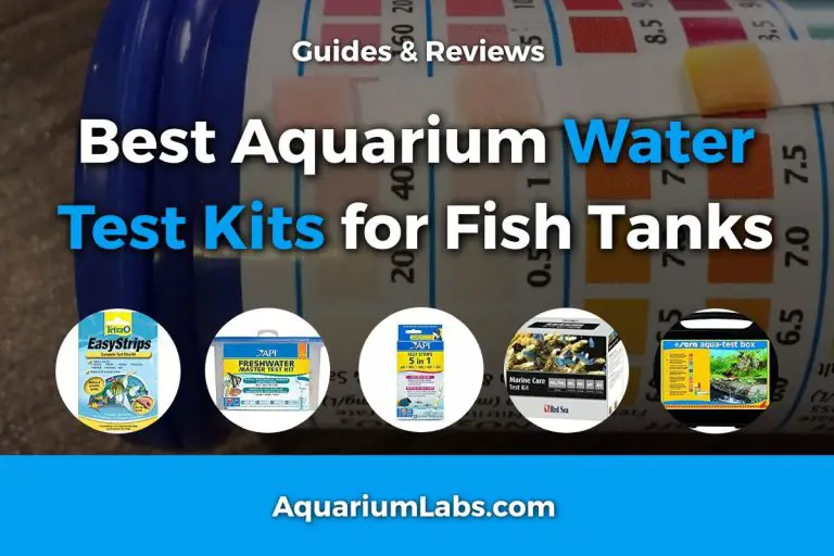 12 Best Aquarium Water Test Kits & Strips [2024 Reviewed]