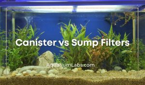 Canister Filter vs Sump Filtration - Which Is Best for Your Tank?