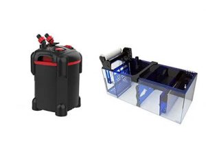 Canister Filter vs Sump Filtration - Which Is Best for Your Tank?